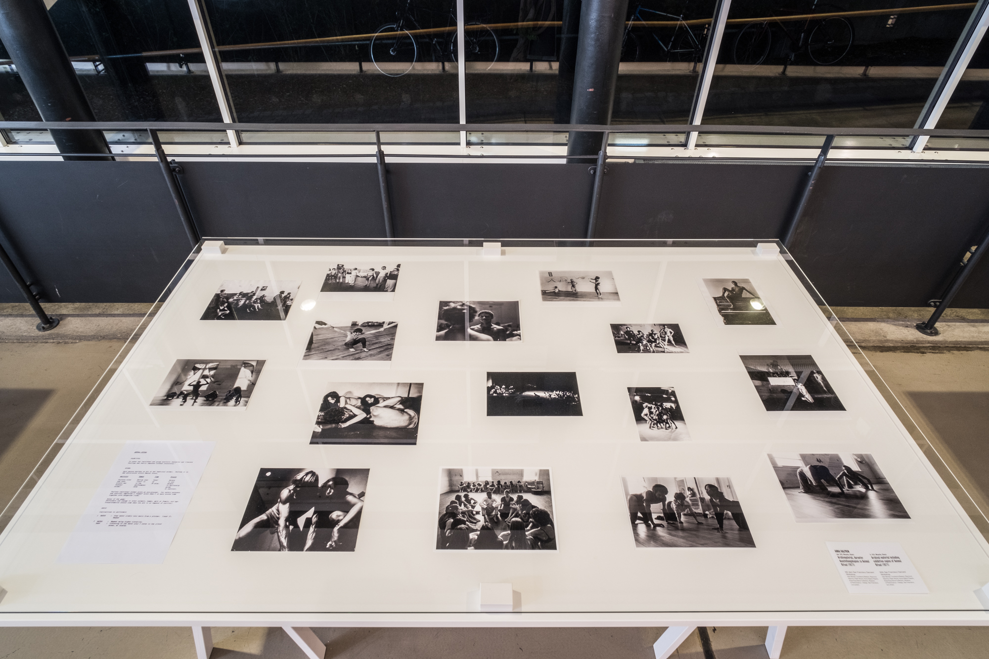 Anna Halprin - documenta 14