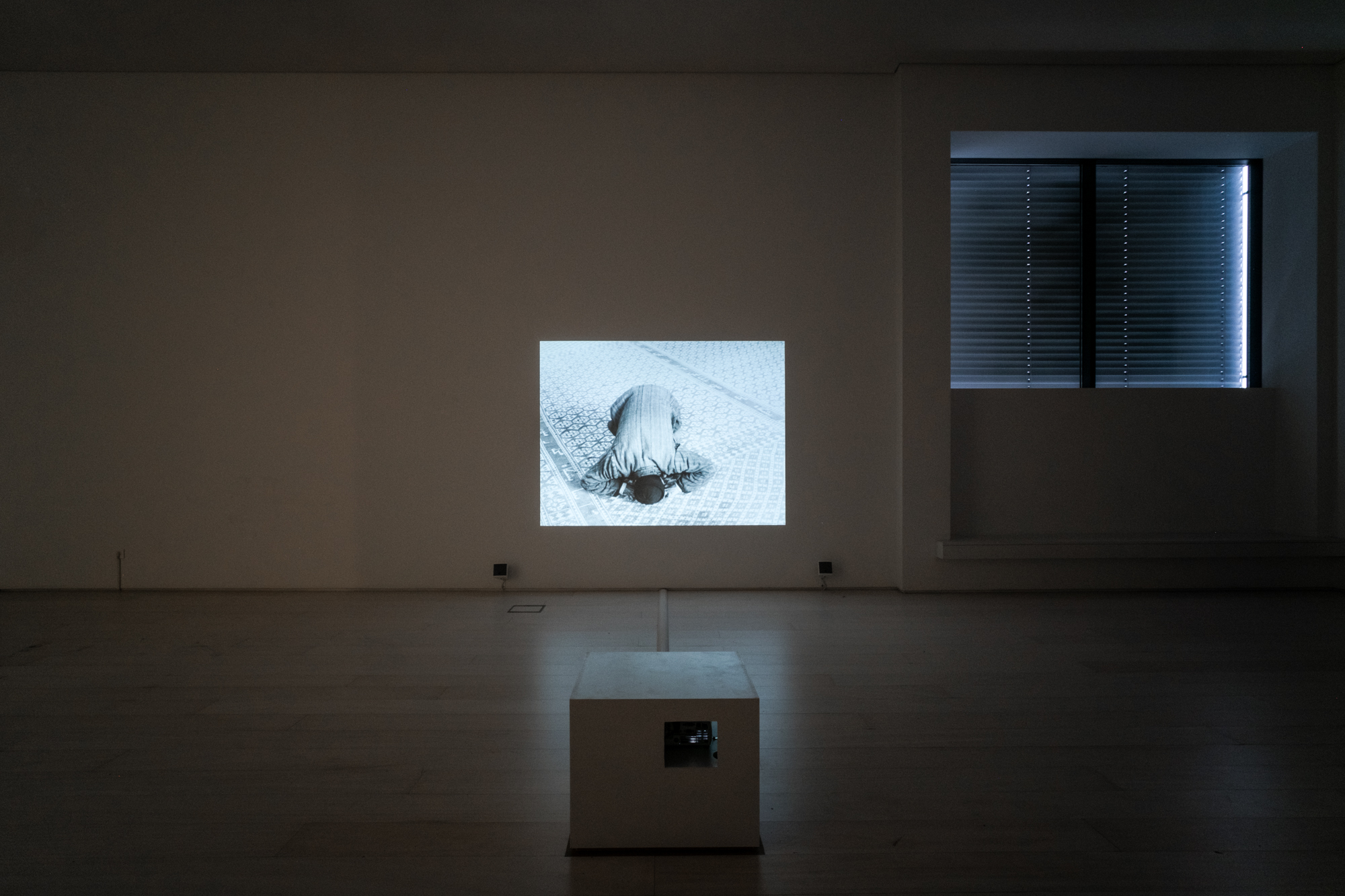 Forough Farrokhzad - documenta 14
